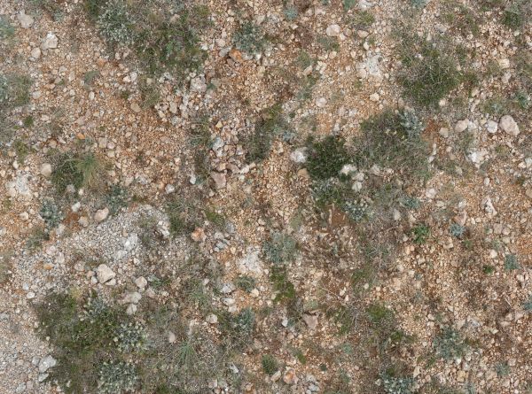 grass on brown stones texture 0003 - Texturelib